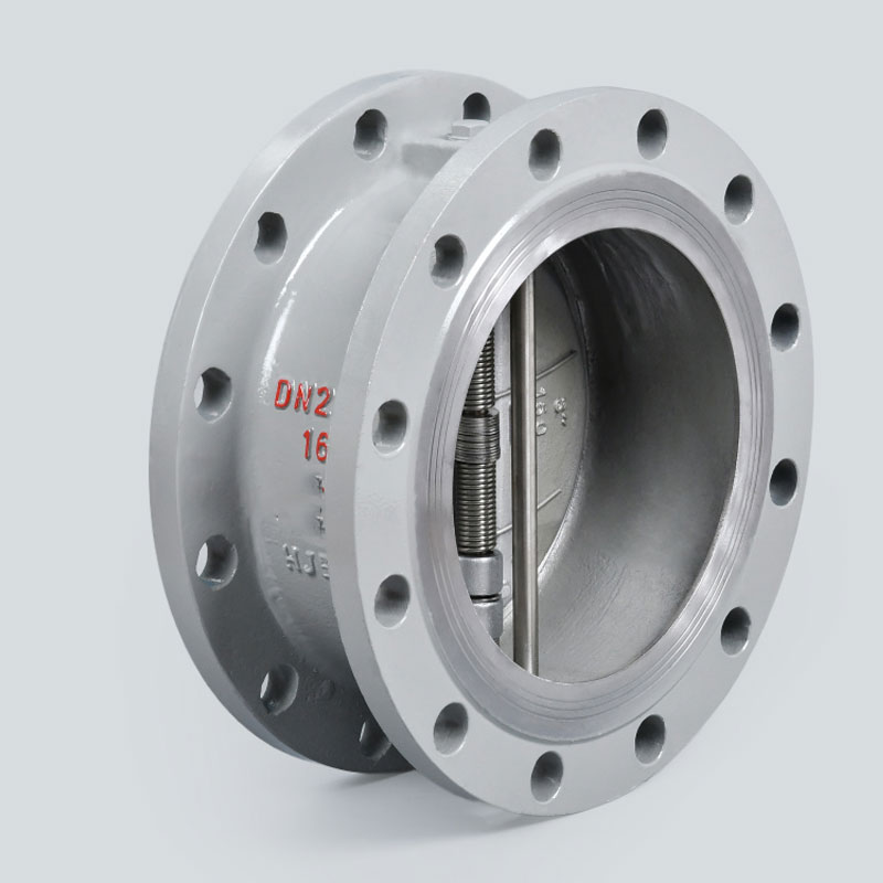 Double Flanged Dual Plate Check Valve - TOT Valve Manufacturer & Exporters
