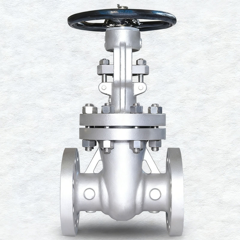 Stainless Steel CF3M Wedge Gate Valve (API 600, High Pressure) - TOT ...