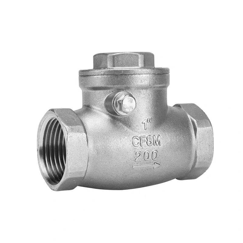 Premium 1 Inch / DN25 Stainless Steel Swing Check Valve (Threaded ...