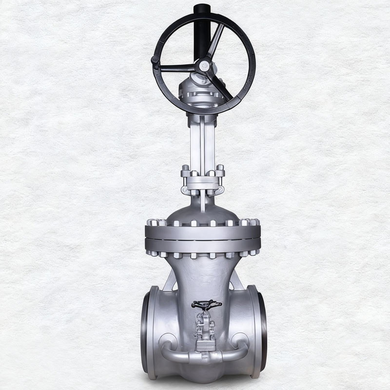 Cast Steel WCB Bolted Bonnet Gate Valve with A105N Bypass - TOT Valve ...