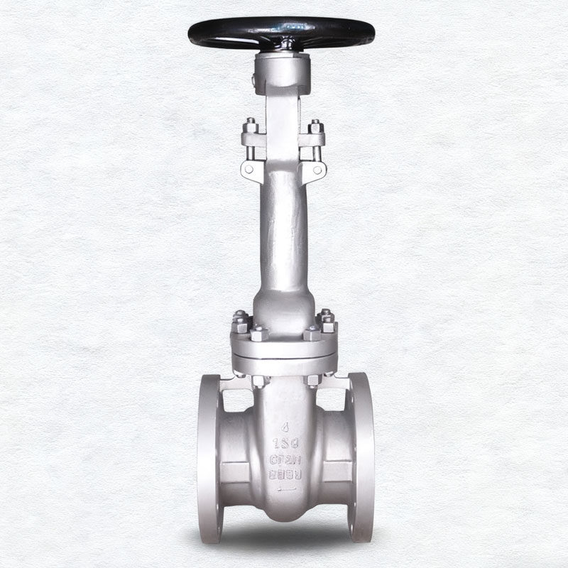 Low-Temperature Extended Stem CF8M Gate Valve (10 Inch Size) - TOT ...